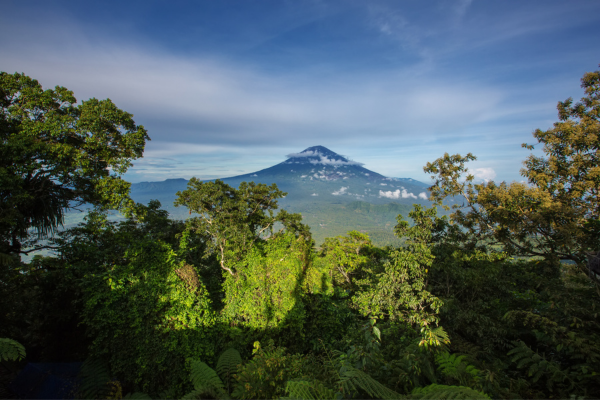 Introduction of Penang Hill Biosphere Reserve - Penang Hill Biosphere ...